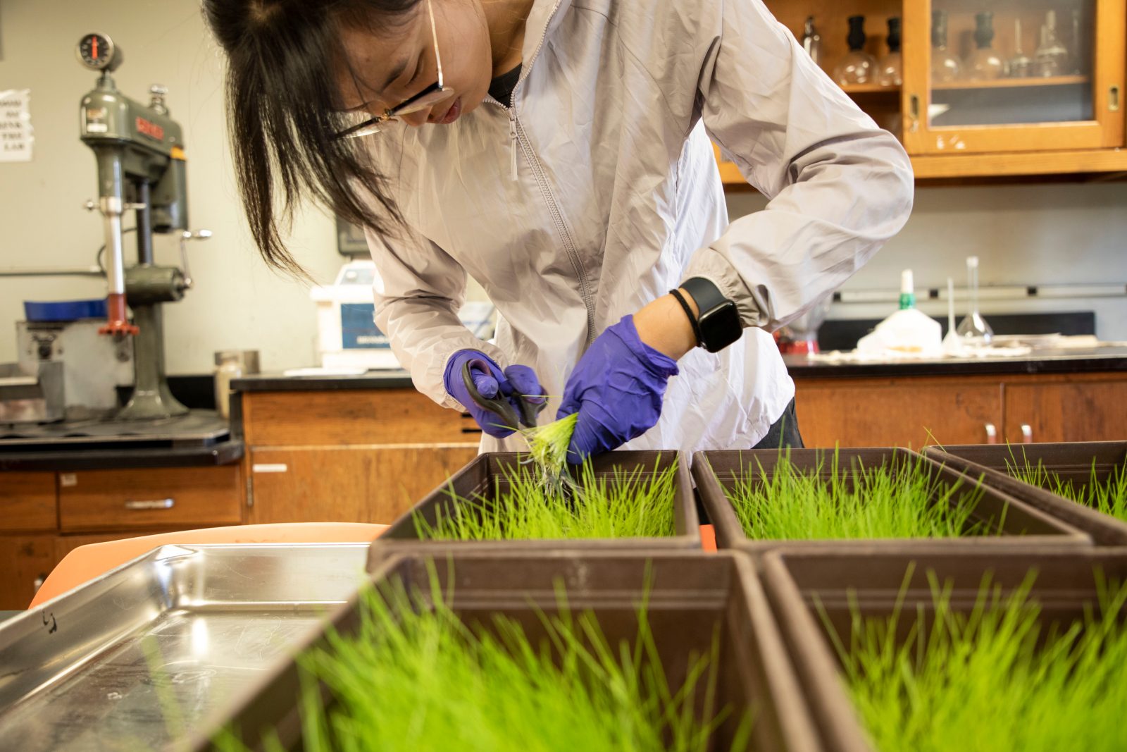 Programs | Mining and Minerals Engineering | Virginia Tech